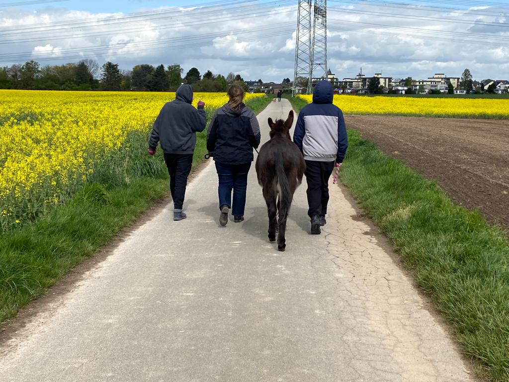 Spaziergang mit Eseln-Eintauchen in die Natur – Pestalozzi-Schule Brühl